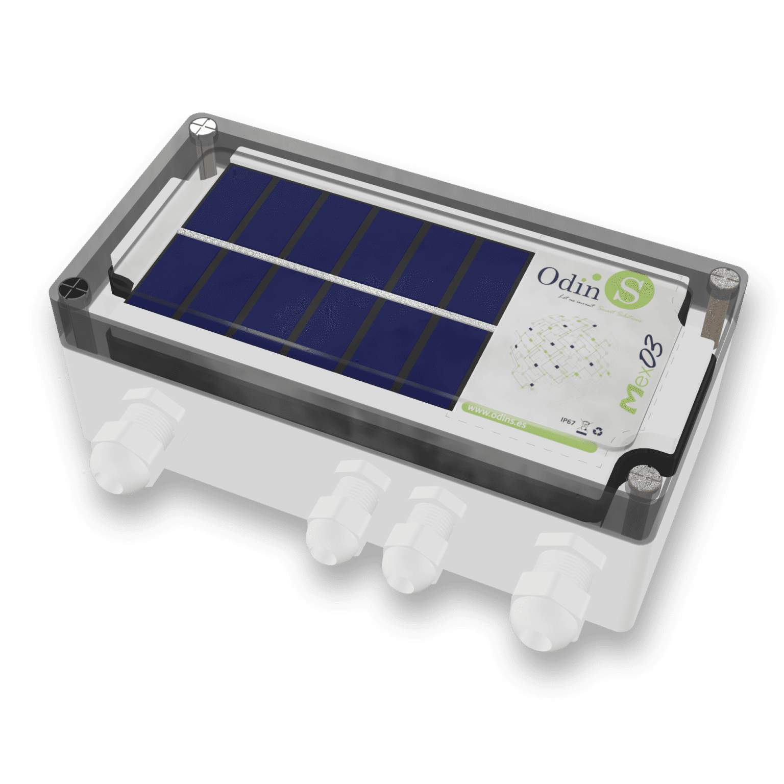 Dendrometría conectada: Medición remota de tronco y fruto